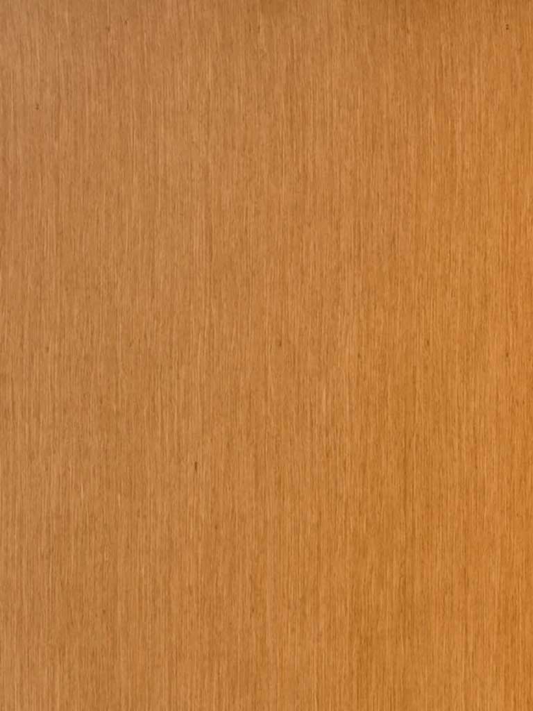 Quercus